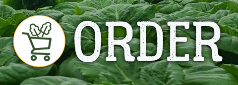 Milk Bok Choy - Lansdowne Urban Farms